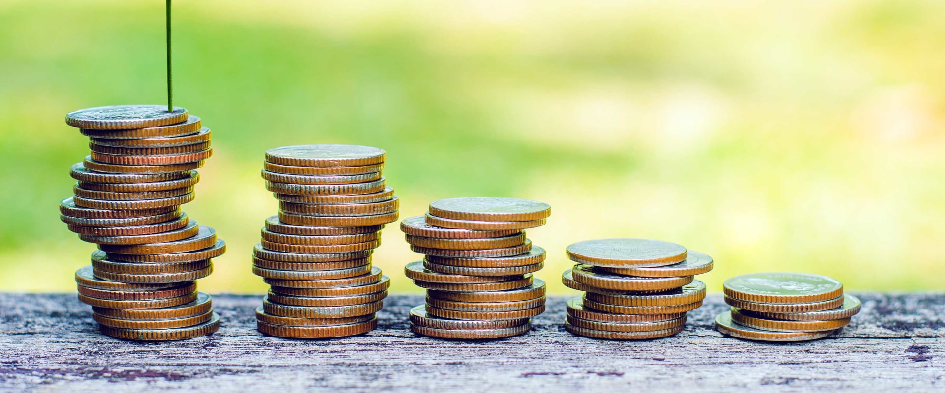 Sustainable Investing For A Better Future - ECN Capital